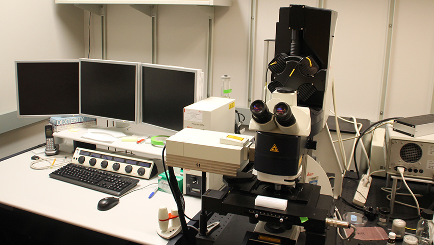 Carver Center for Imaging Microscopy Imaging Equipment | Biology ...