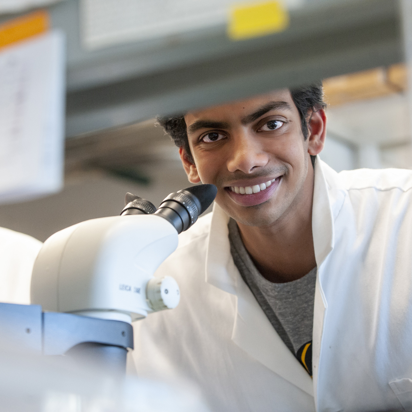 Research | Biology - College of Liberal Arts and Sciences | The ...