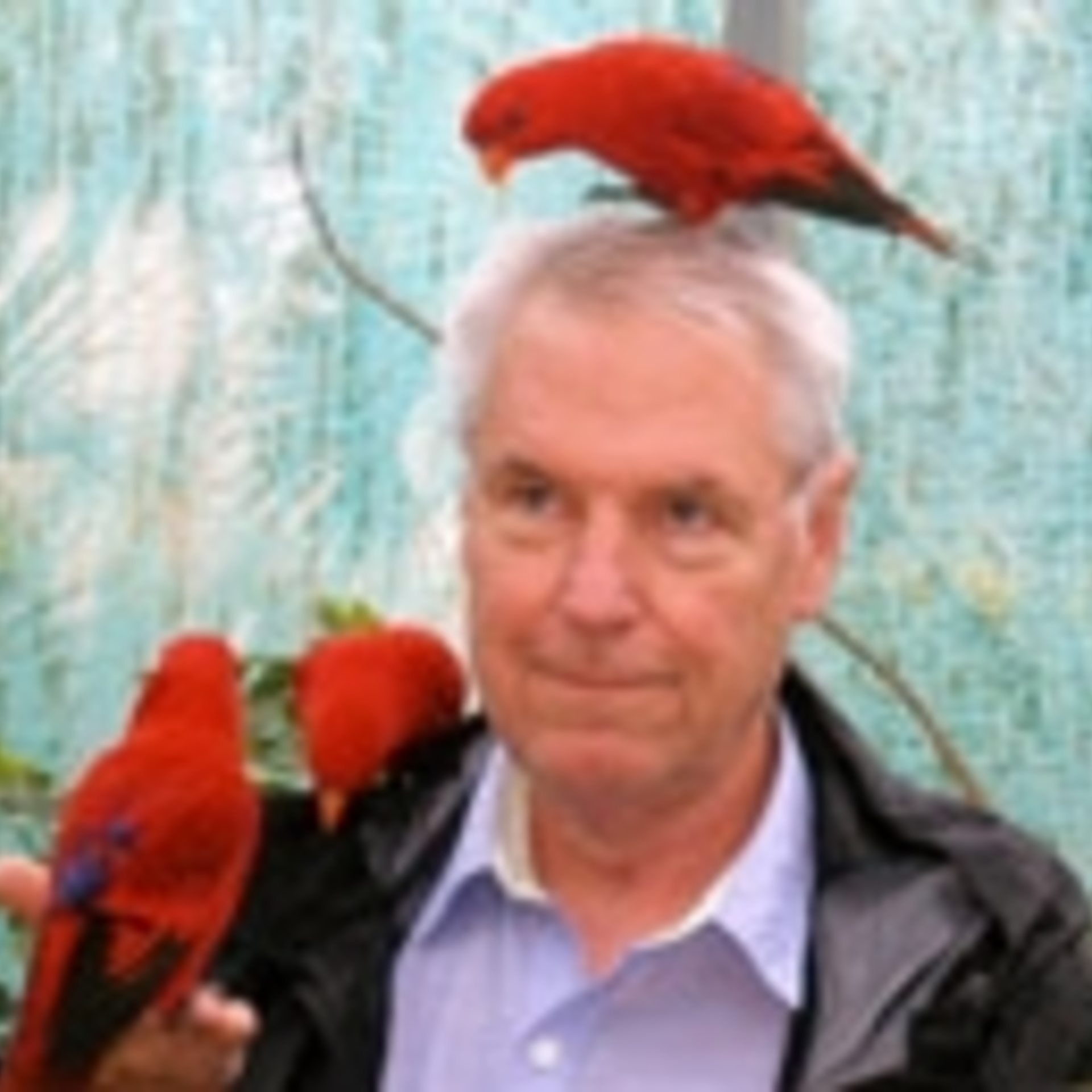 Emeritus Faculty | Biology - College of Liberal Arts and Sciences | The ...