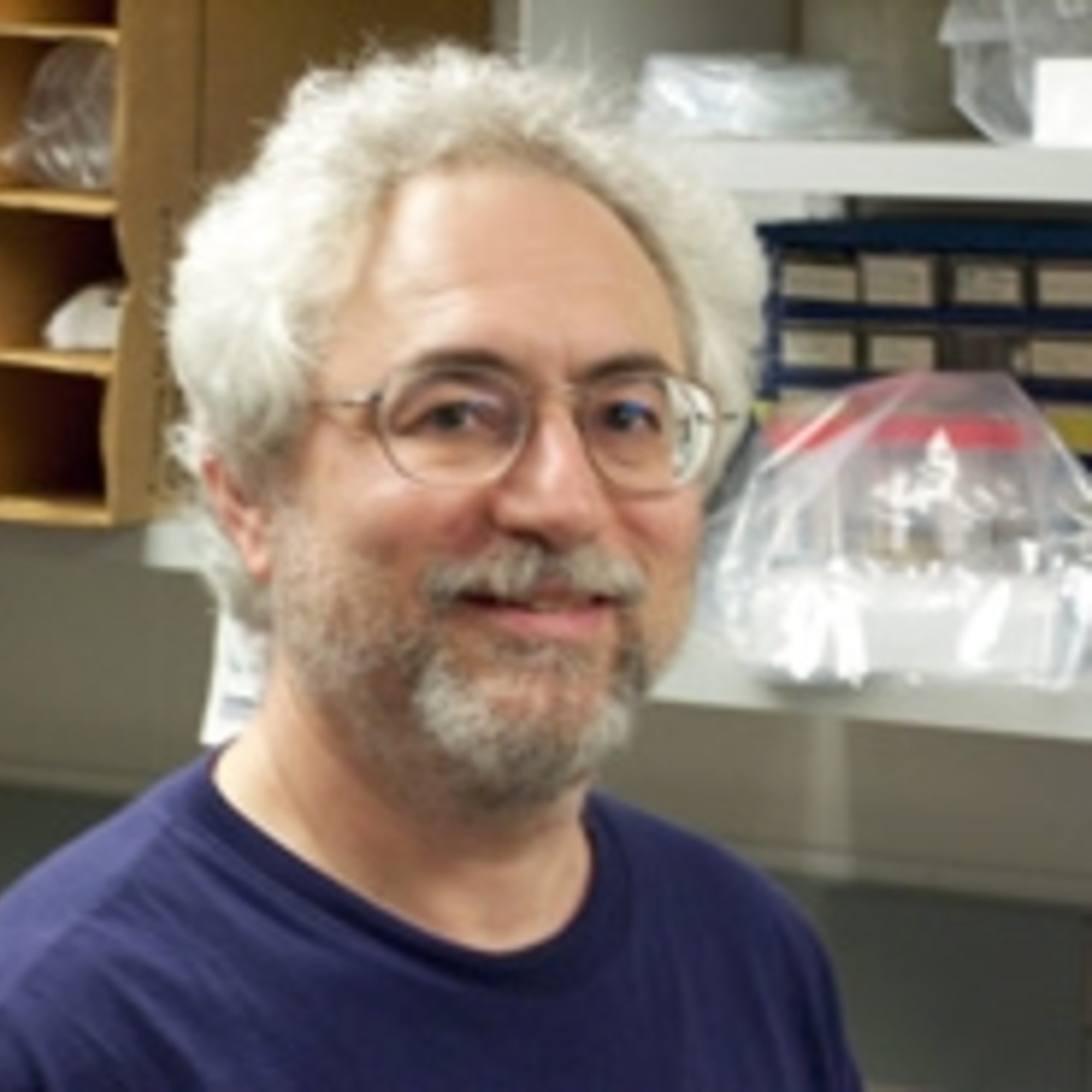 Faculty | Biology - College of Liberal Arts and Sciences | The ...