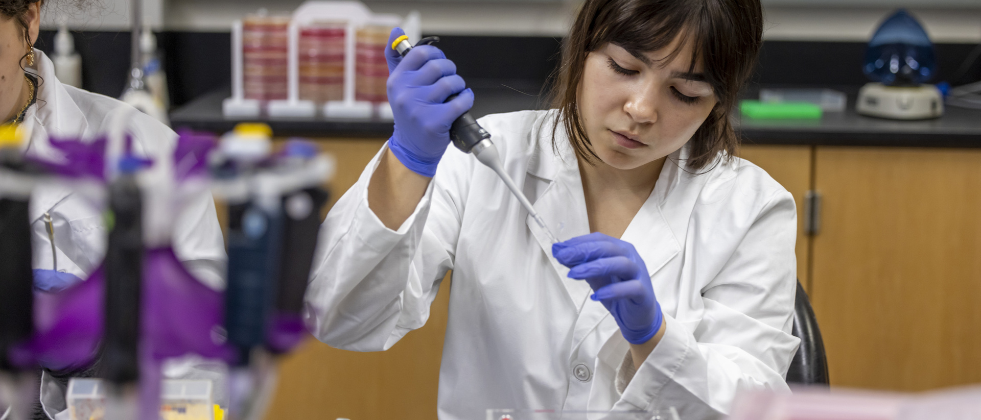 About | Biology - College of Liberal Arts and Sciences | The University ...