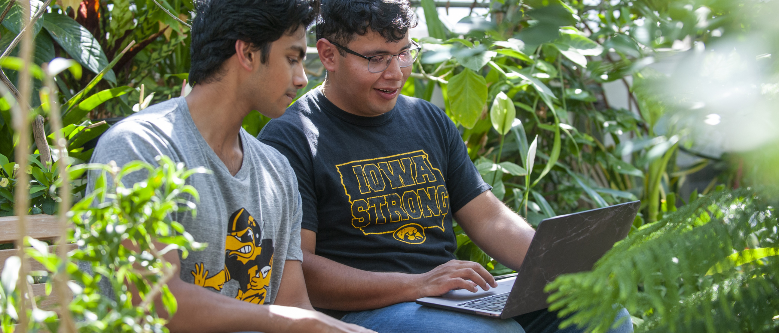 Biology | College of Liberal Arts and Sciences | The University of Iowa