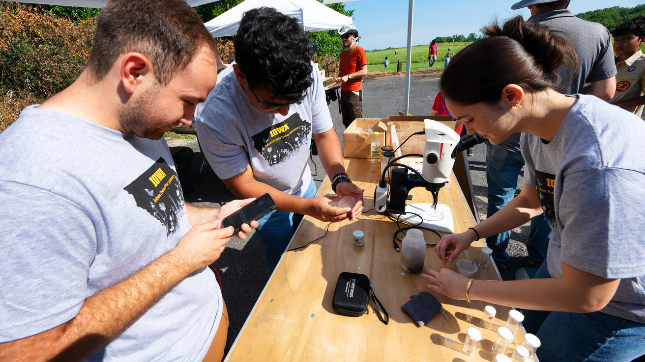 Undergraduate Programs | Biology - College of Liberal Arts and Sciences ...