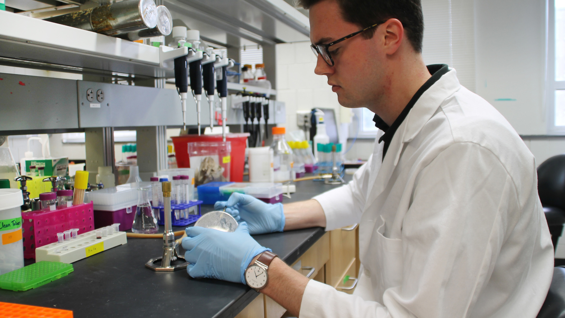 Undergraduate Programs | Biology - College of Liberal Arts and Sciences ...