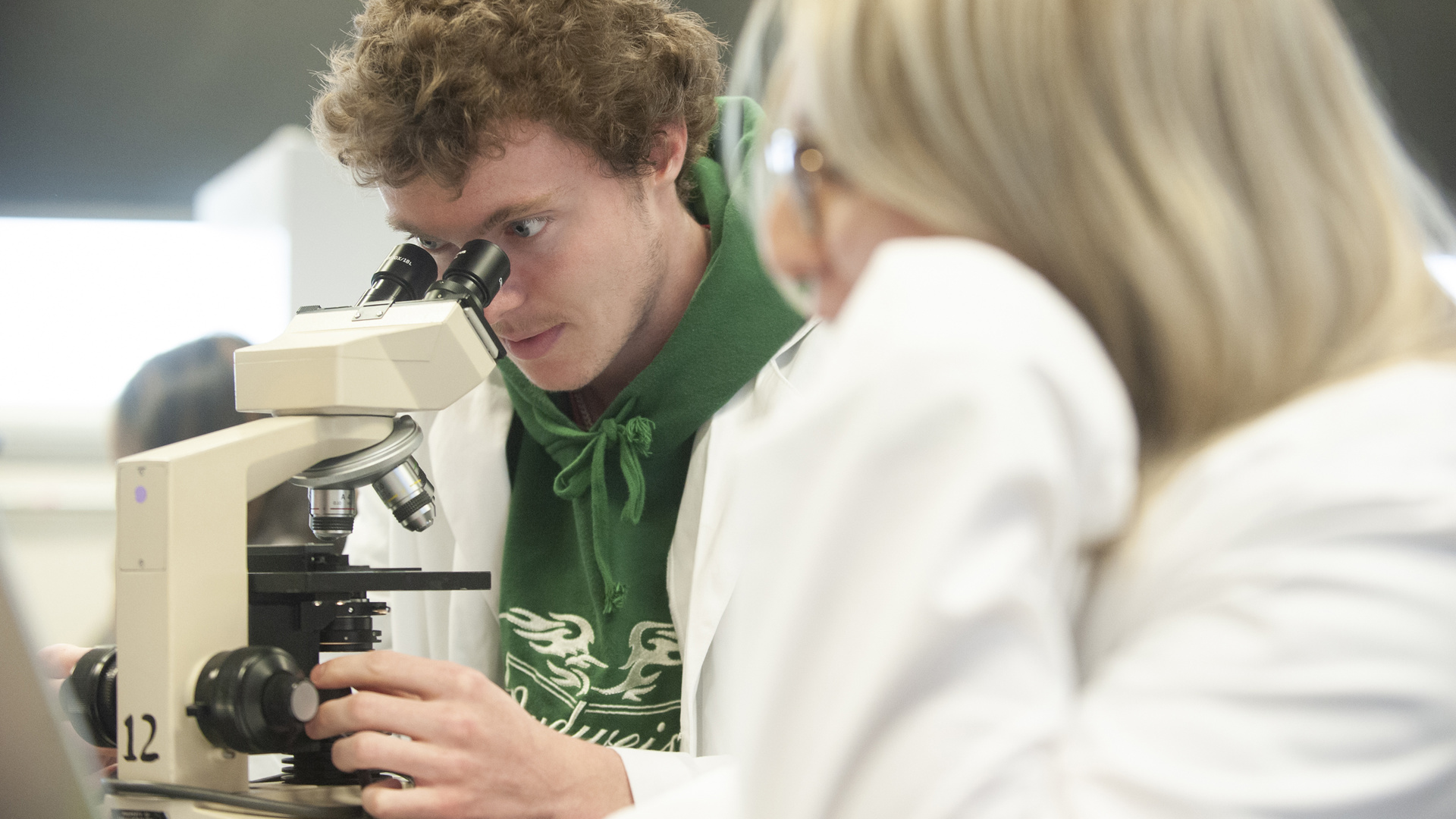 Undergraduate Programs | Biology - College of Liberal Arts and Sciences ...