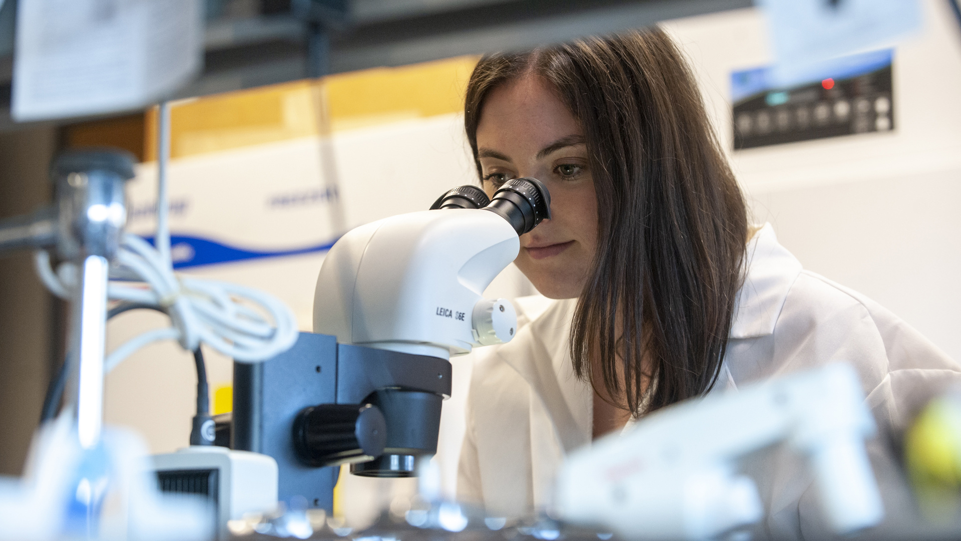 Research | Biology - College of Liberal Arts and Sciences | The ...