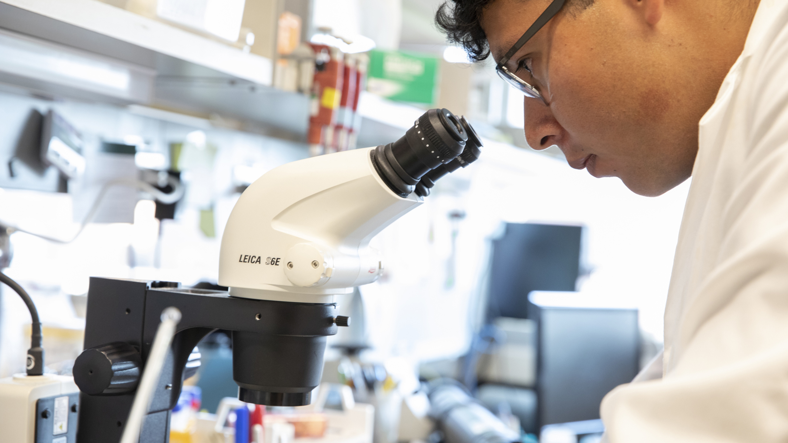 Biology | College of Liberal Arts and Sciences | The University of Iowa